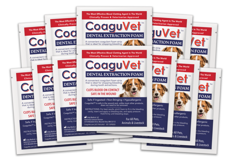 Box of 12 CoaguVet Dental Extraction Foam – Coaguvet.com
